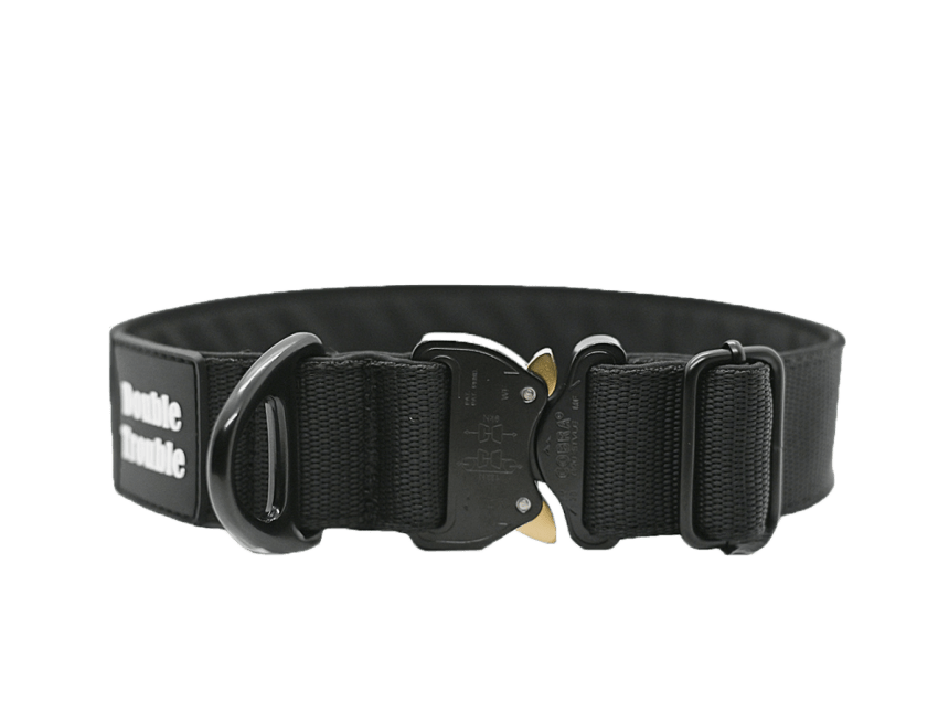 Customize K9 COLLAR - DOUBLE TROUBLE