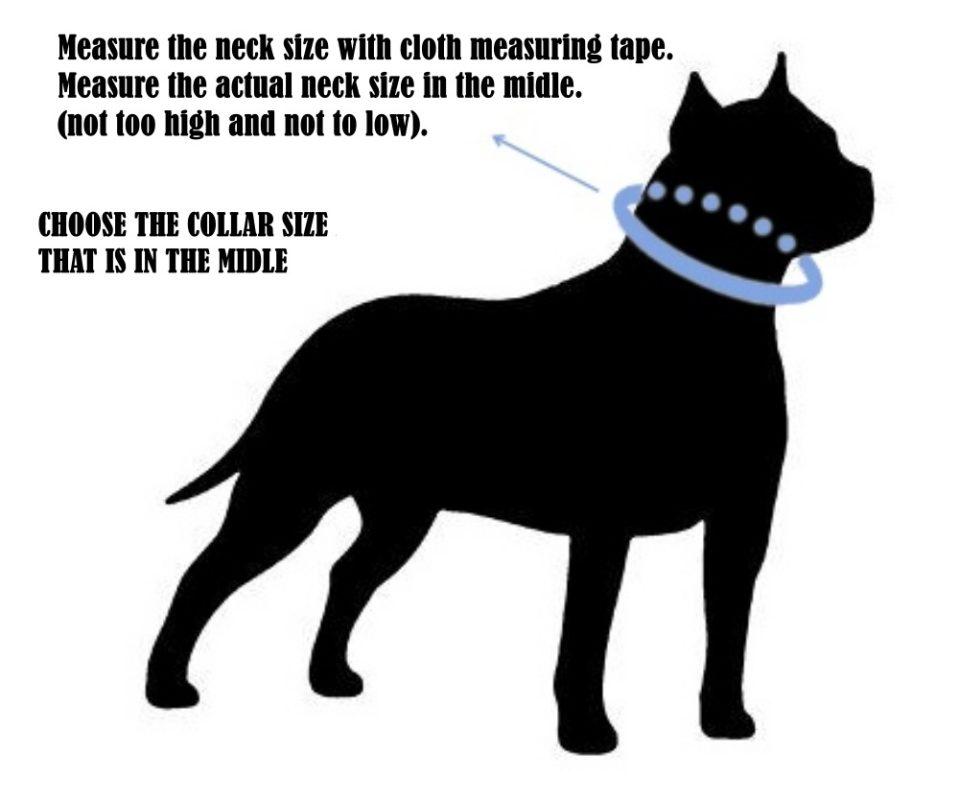 Dog Collars - Size Guide - DOUBLE TROUBLE